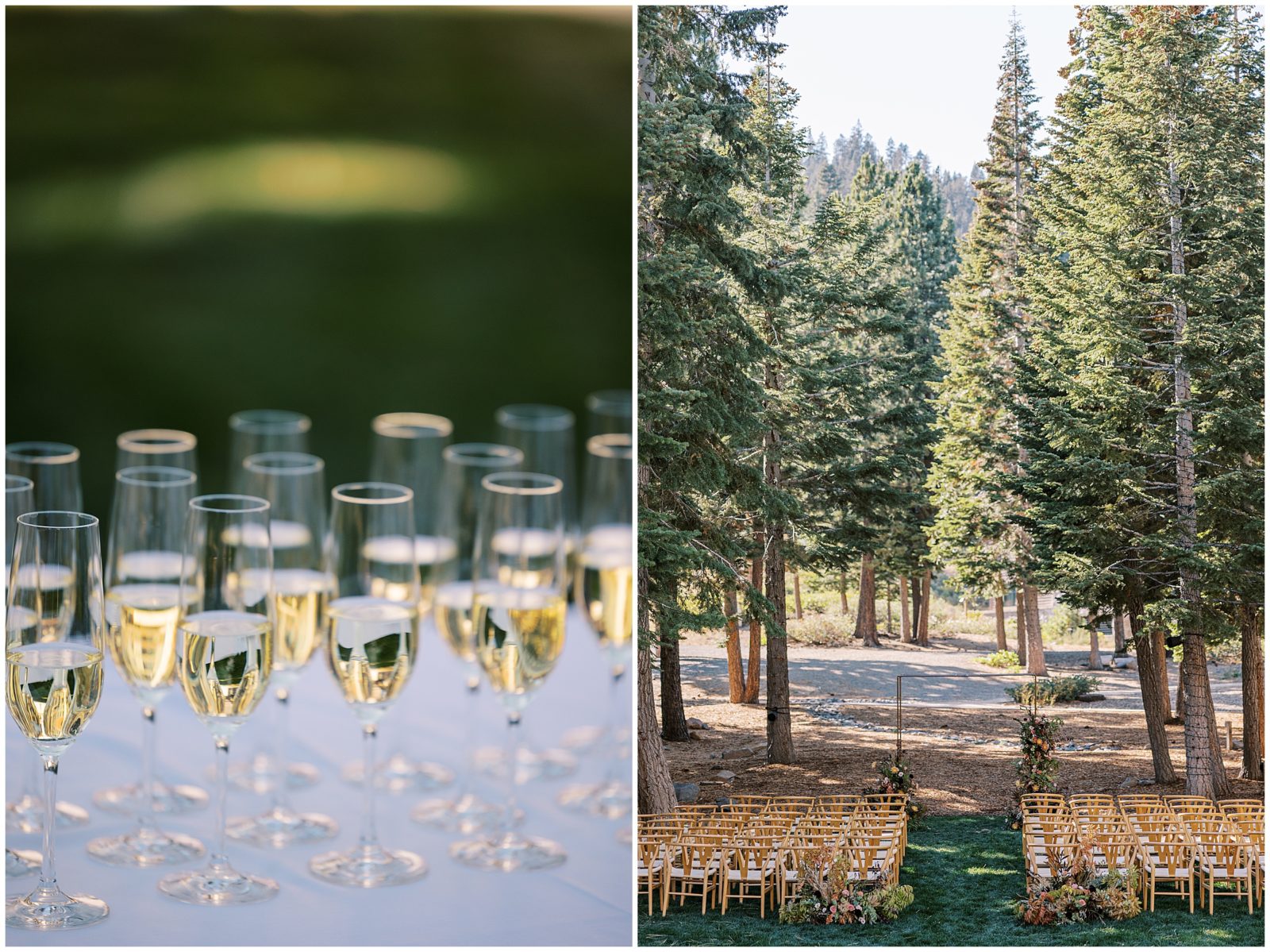 Ritz Carlton Lake Tahoe Wedding - Ryan Greenleaf Photography